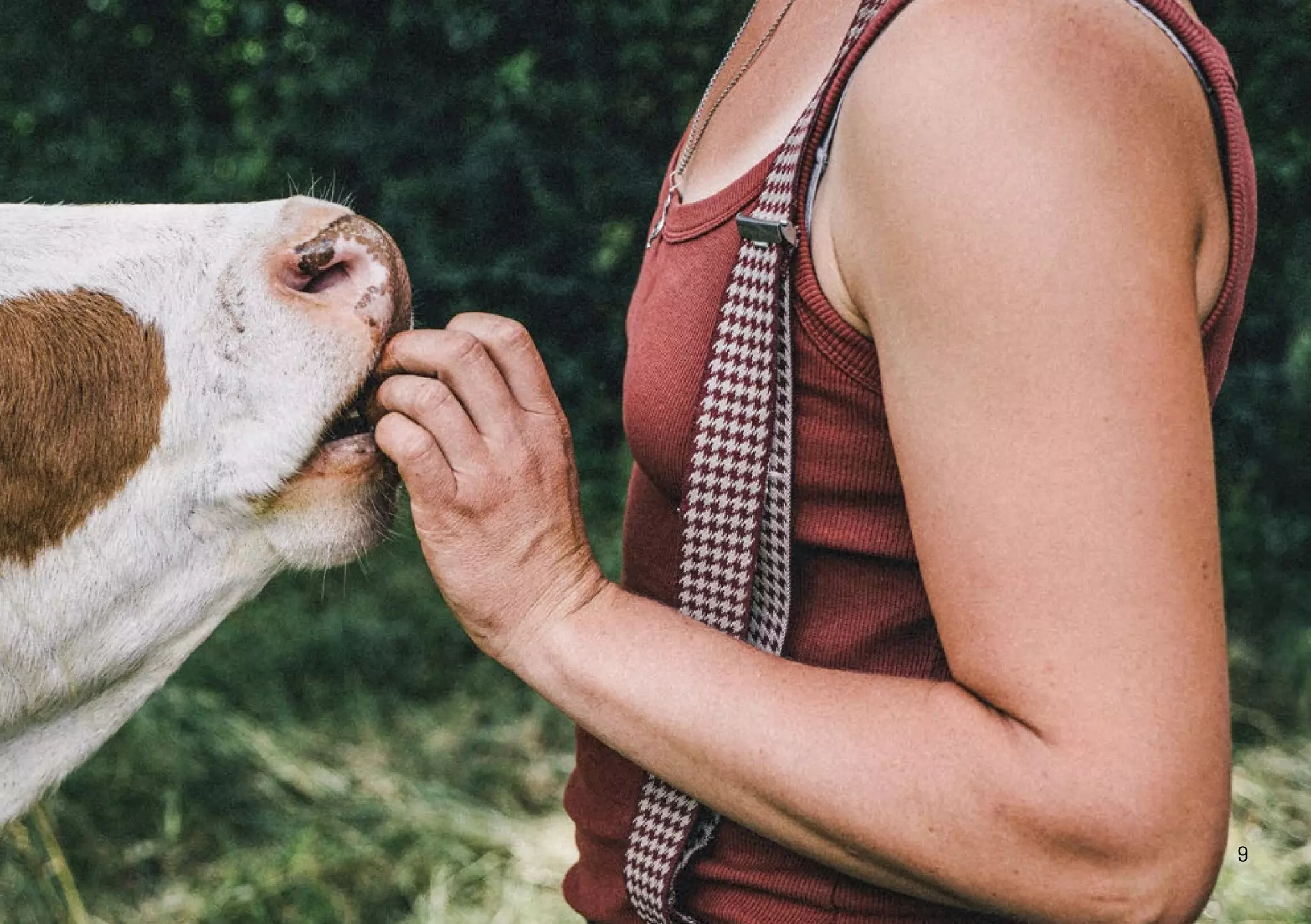 7 PRINCIPLES OF DEMETER.pdf