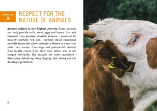 7 PRINCIPLES OF DEMETER.pdf