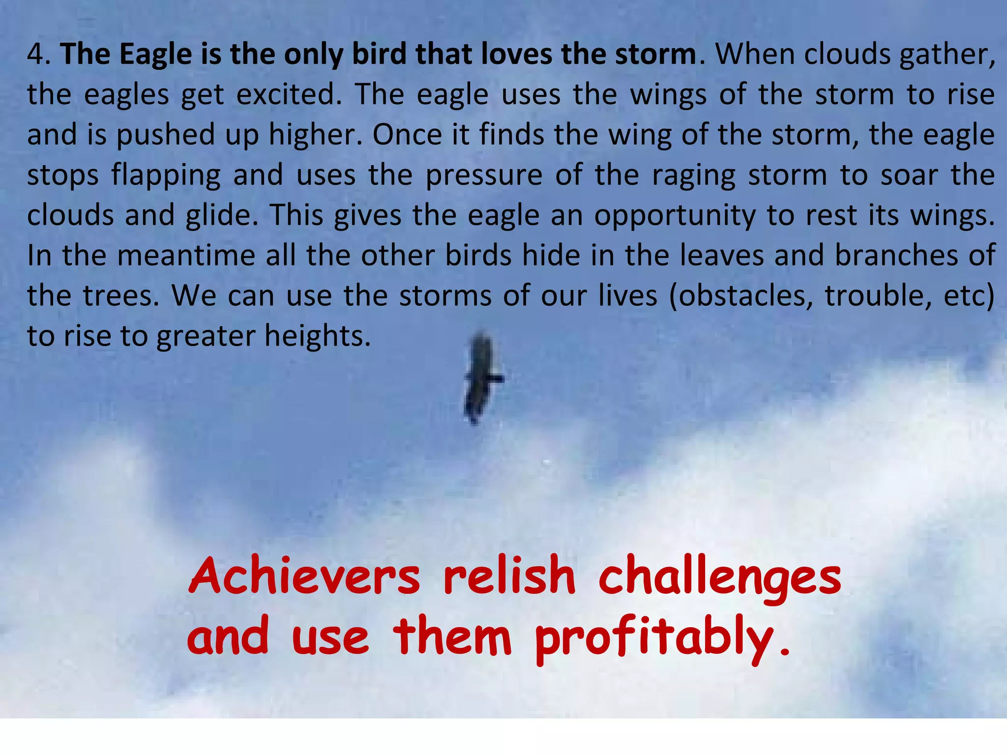 7 principles of eagle 1 | PPT