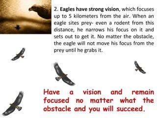7 principles of eagle 1 | PPT | Birdwatching | Hobbies & Interests