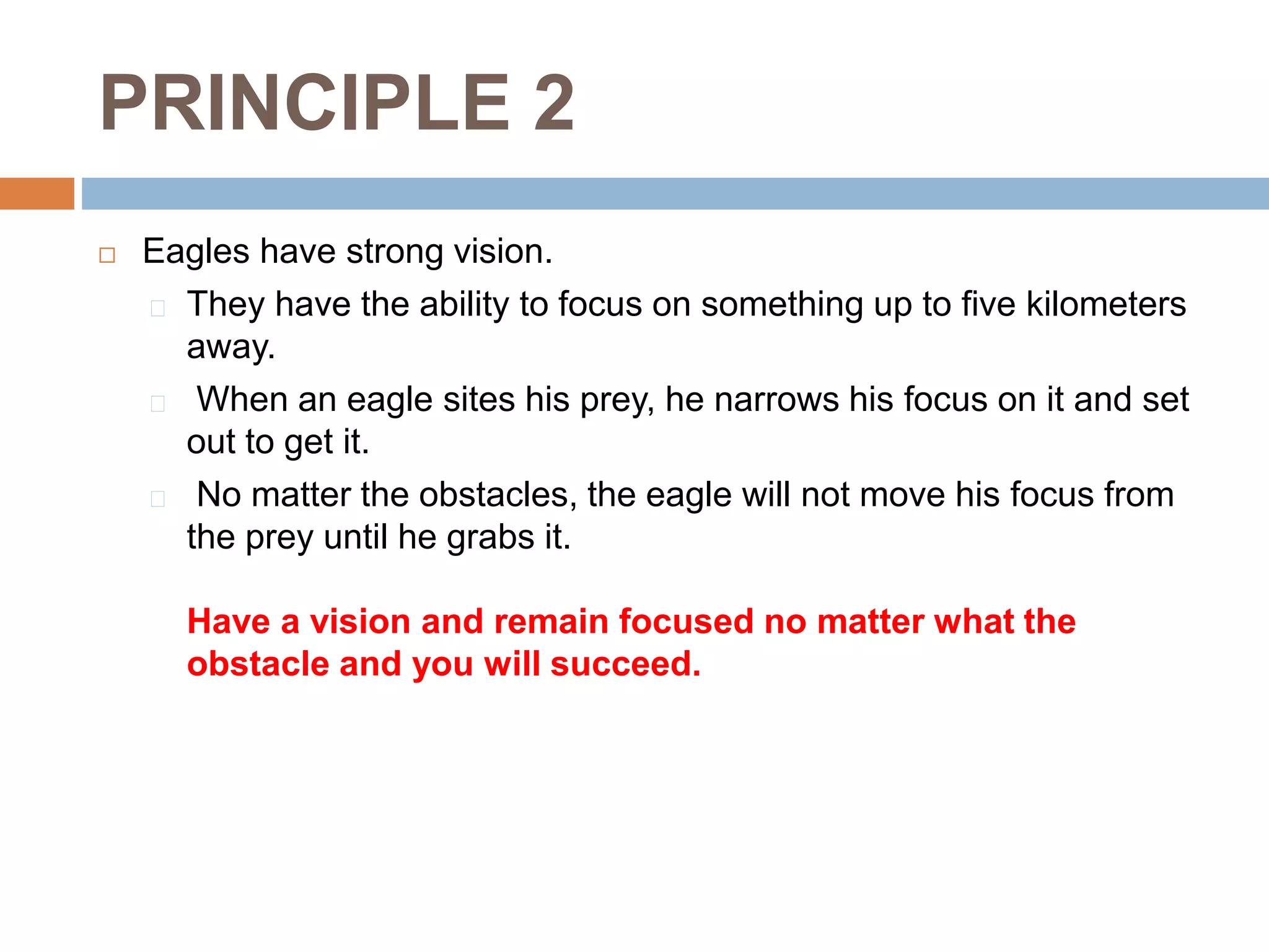 7 principles of eagles | PPTX