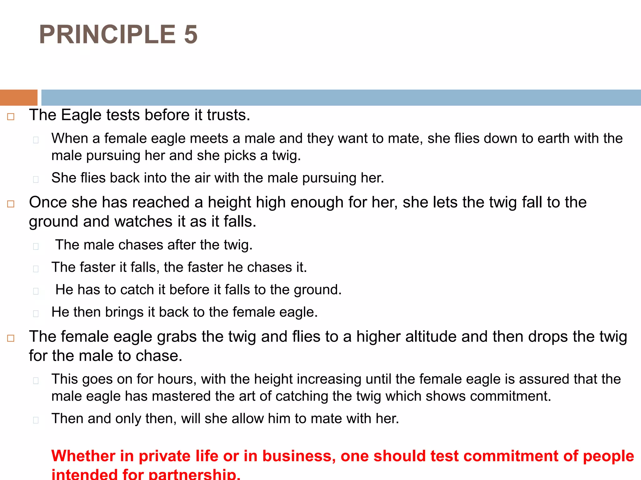 7 principles of eagles | PPTX