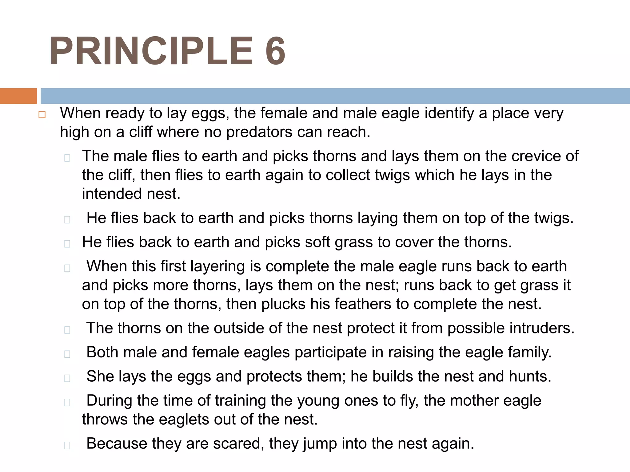 7 principles of eagles | PPTX
