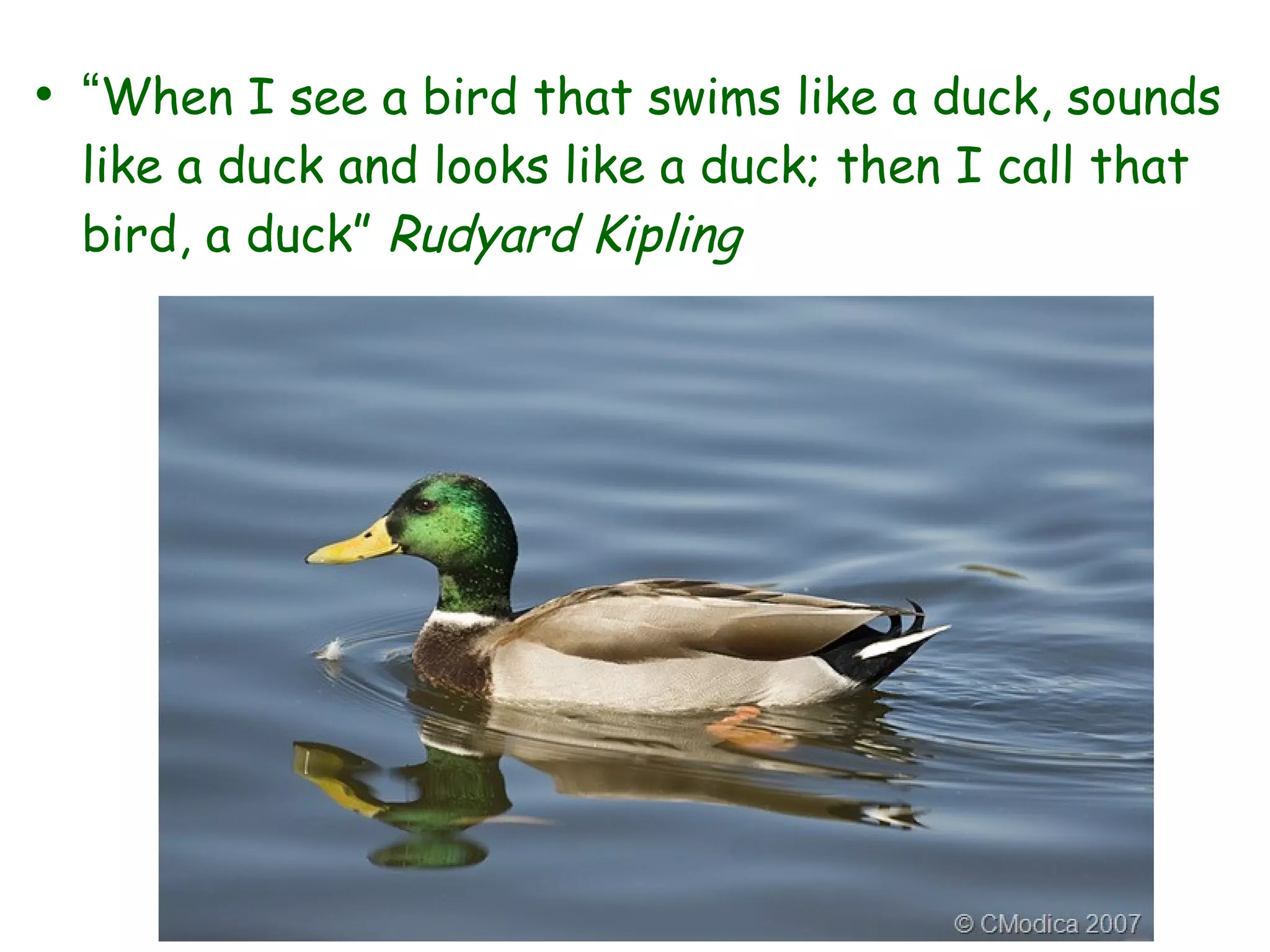 7 principles of professional salesmanship | PPT