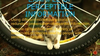 Seven Principles of Universal Design | PPTX