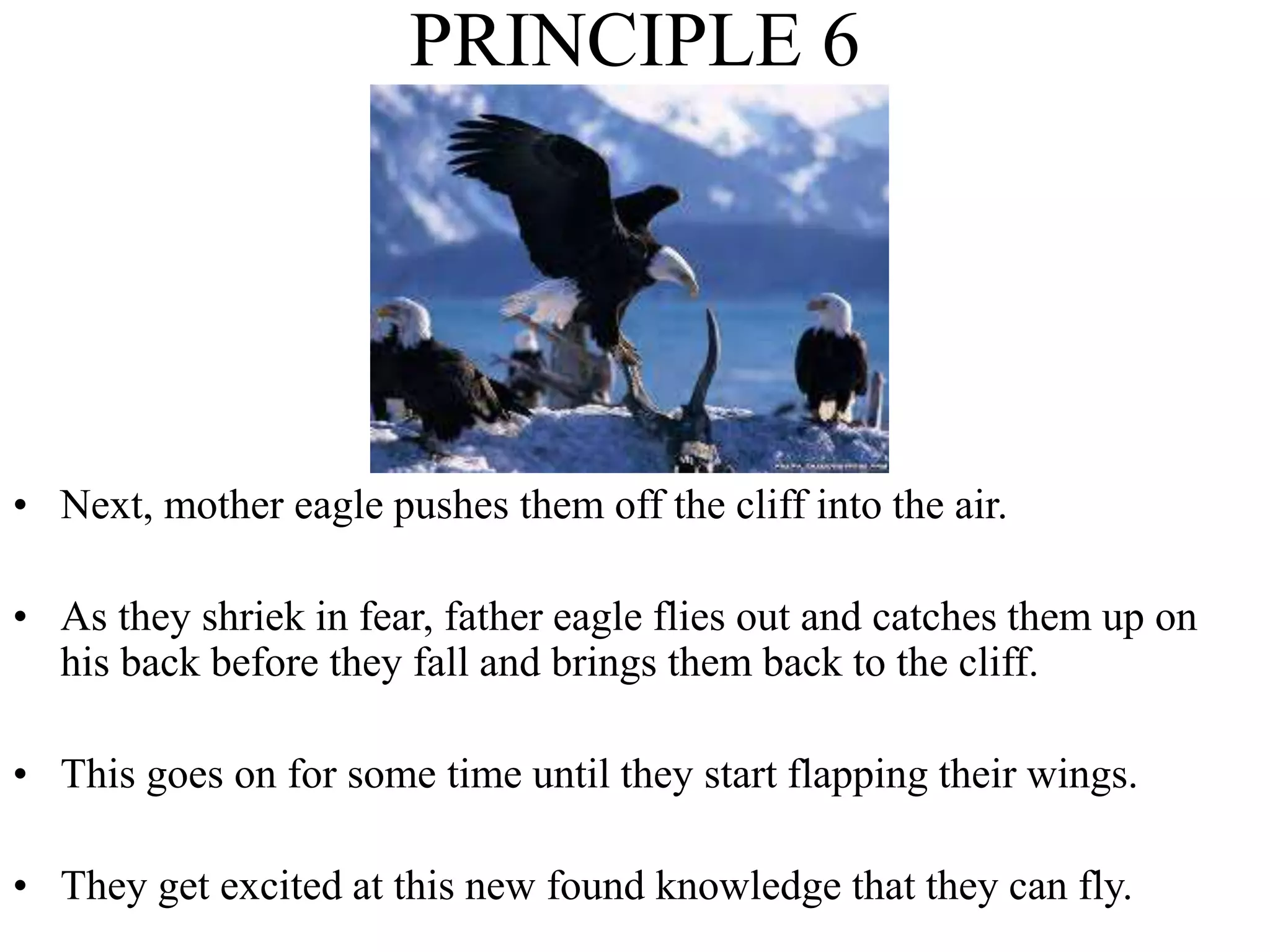 7 Priniples of Eagles.ppt