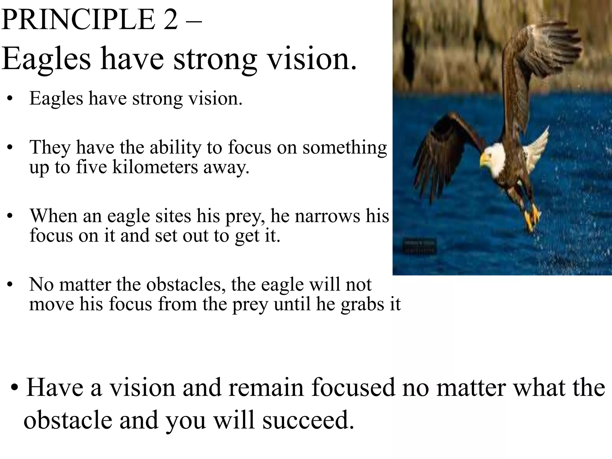 7 Priniples of Eagles.ppt