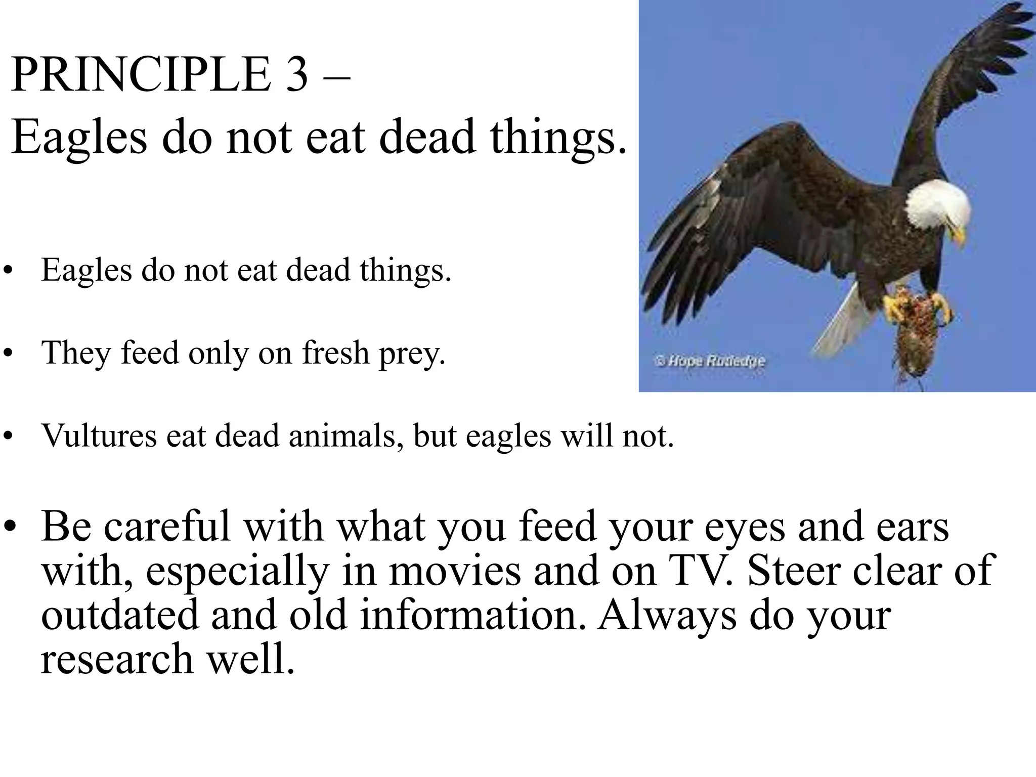 7 Priniples of Eagles.ppt