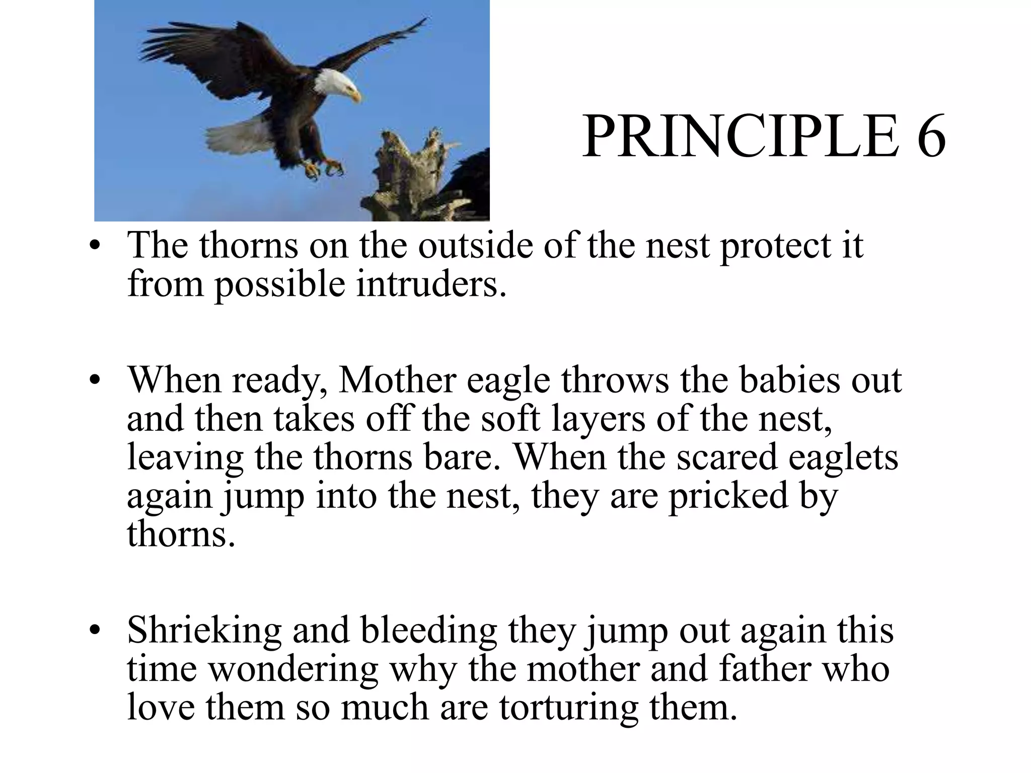 7 Priniples of Eagles.ppt