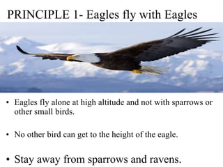 7 Priniples of Eagles.ppt