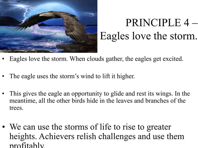 7 Priniples of Eagles.ppt