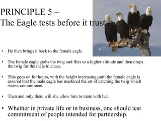 7 Priniples of Eagles.ppt