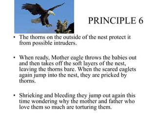 7 Priniples of Eagles.ppt