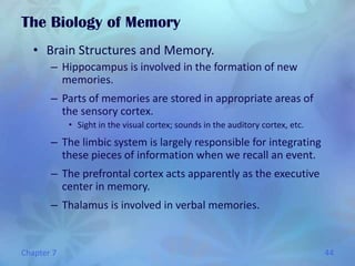 Psych 200 Memory | PPTX