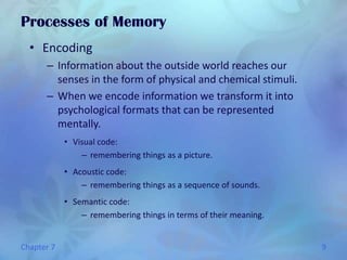 Psych 200 Memory | PPTX
