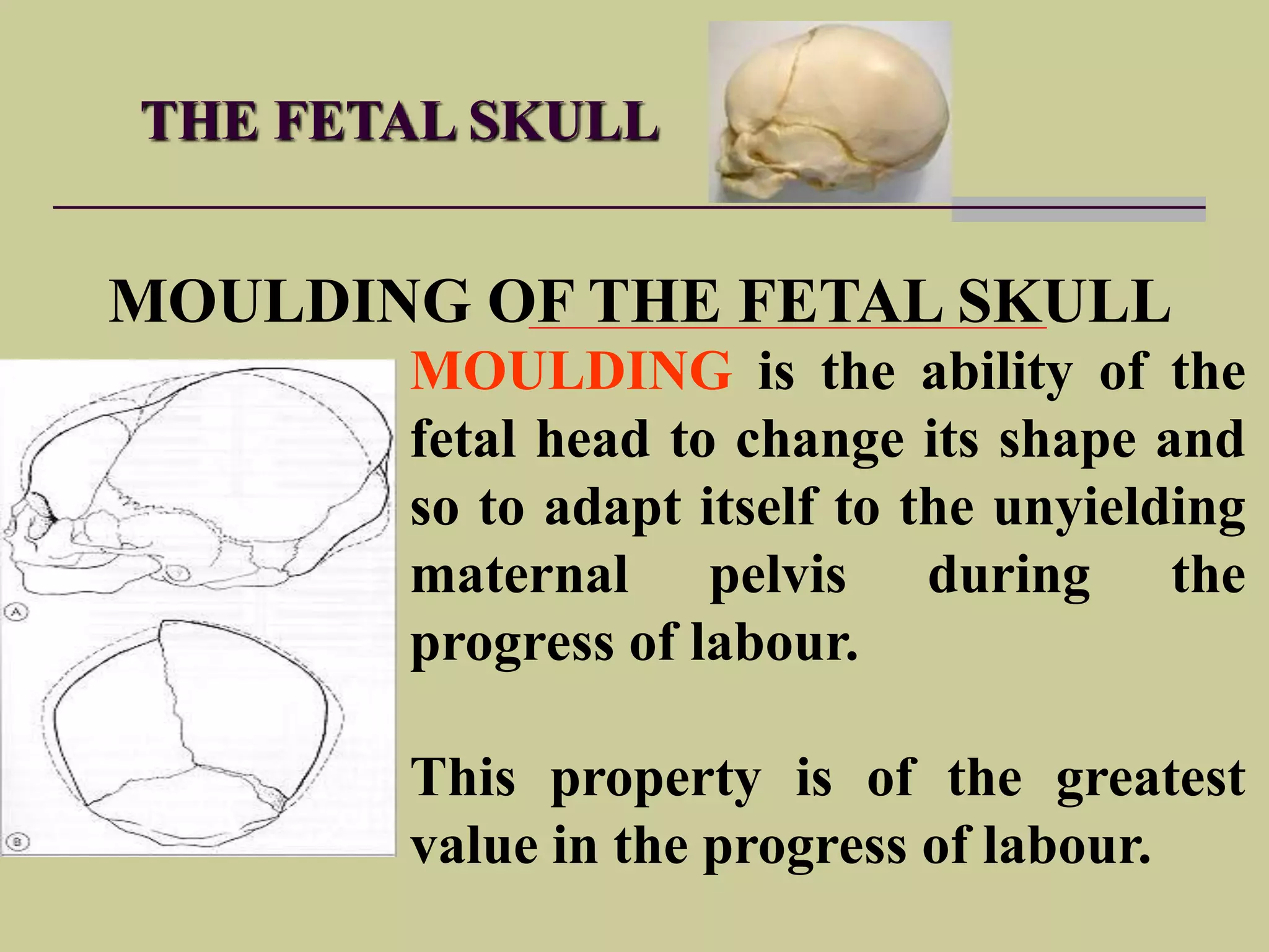 Normal labour and delivery | PPSX