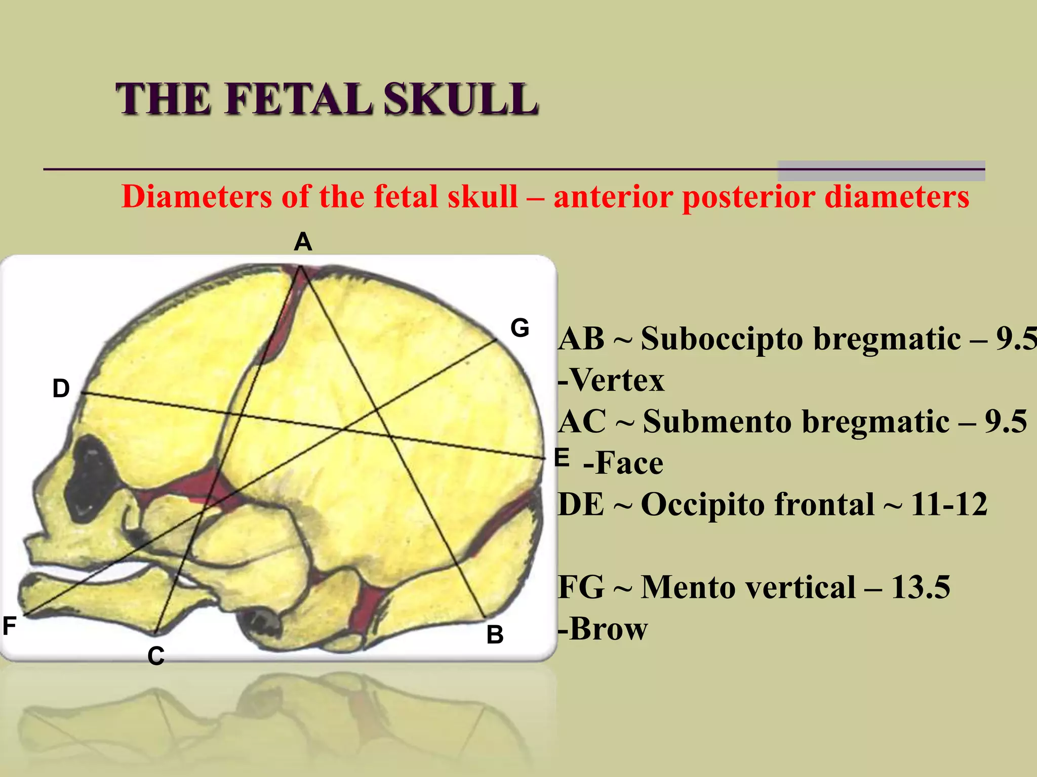 Normal labour and delivery | PPSX