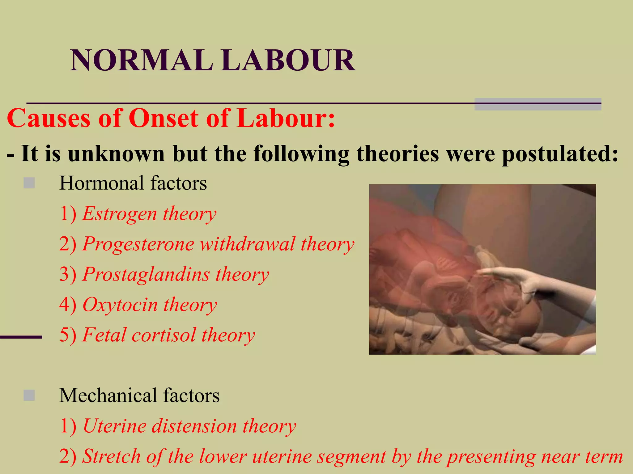 Normal labour and delivery | PPSX