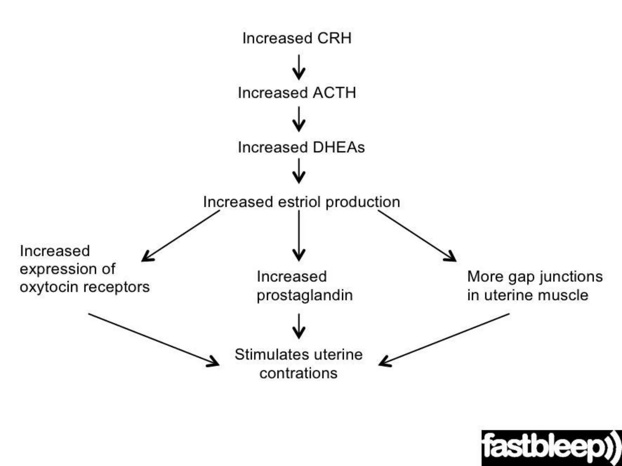 Normal labour and delivery | PPSX | Pregnancy | Reproductive Health