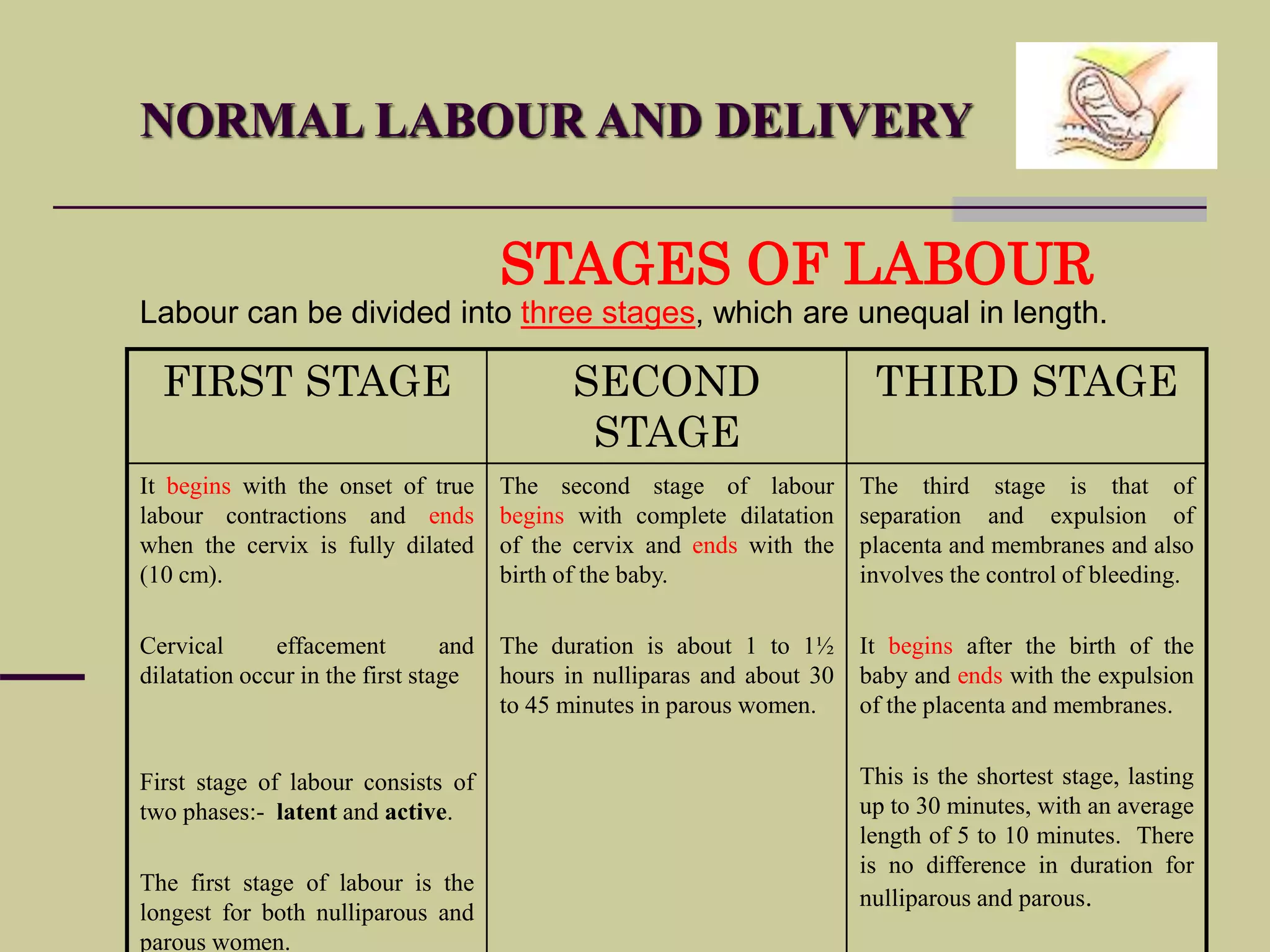 Normal labour and delivery | PPSX