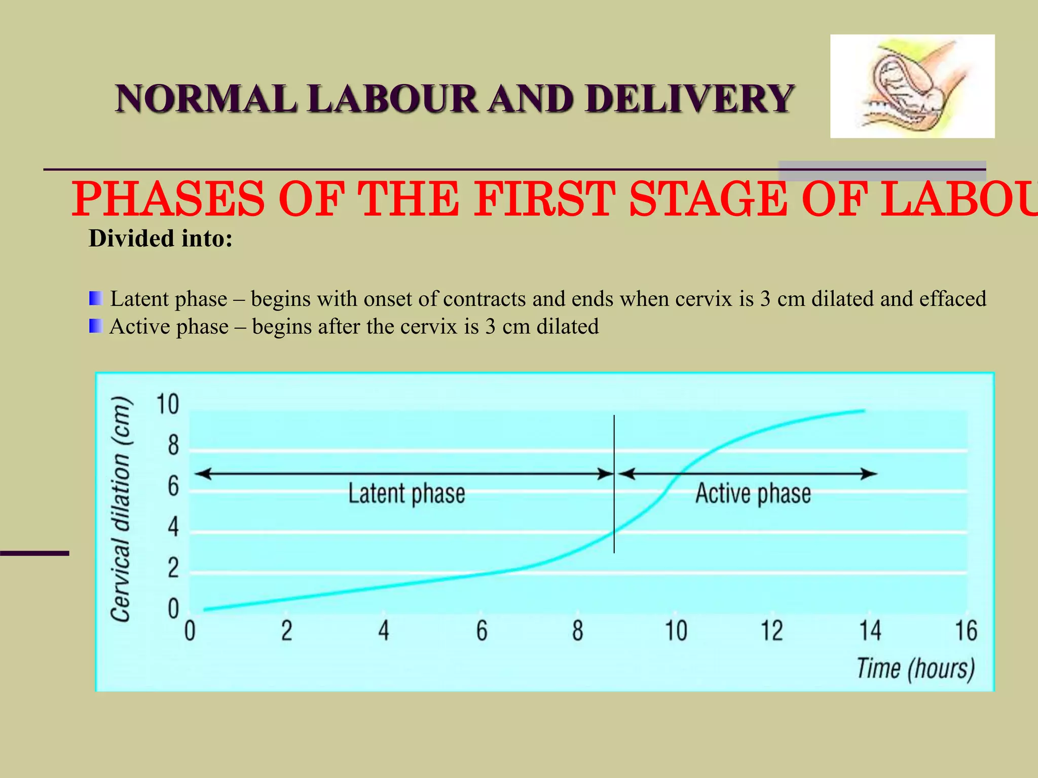Normal labour and delivery | PPSX | Pregnancy | Reproductive Health