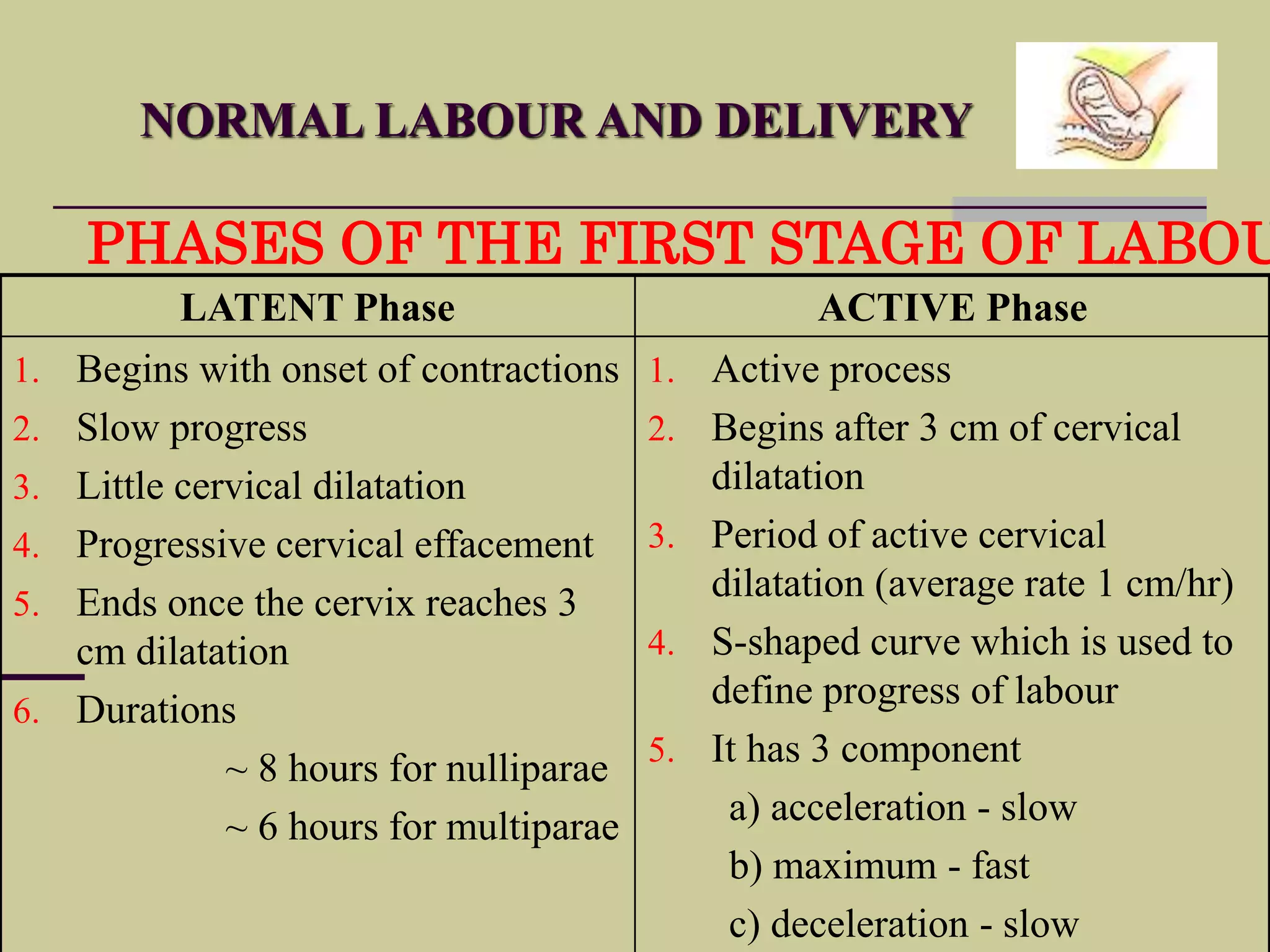 Normal labour and delivery | PPSX
