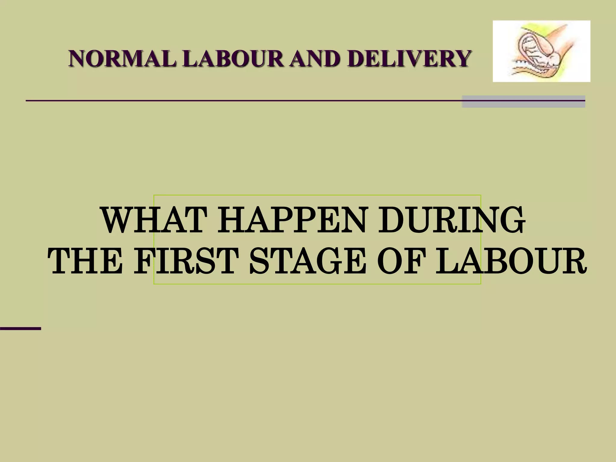 Normal labour and delivery | PPSX