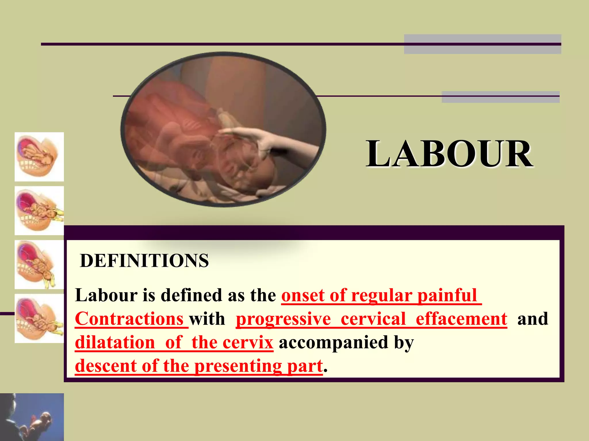 Normal labour and delivery | PPSX