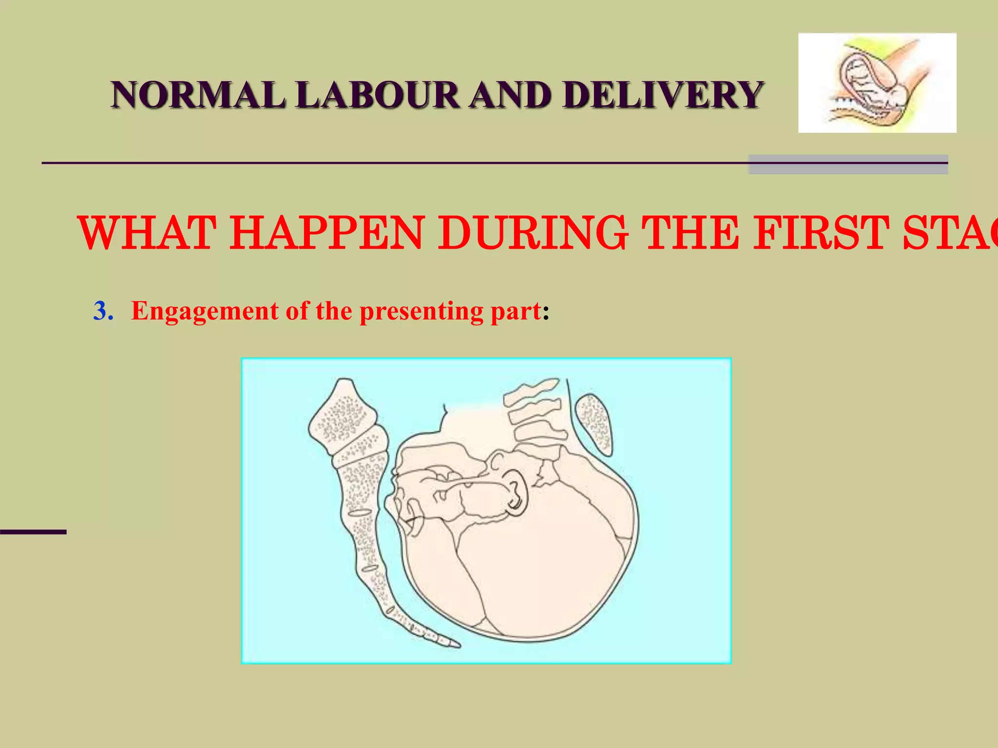 Normal labour and delivery | PPSX
