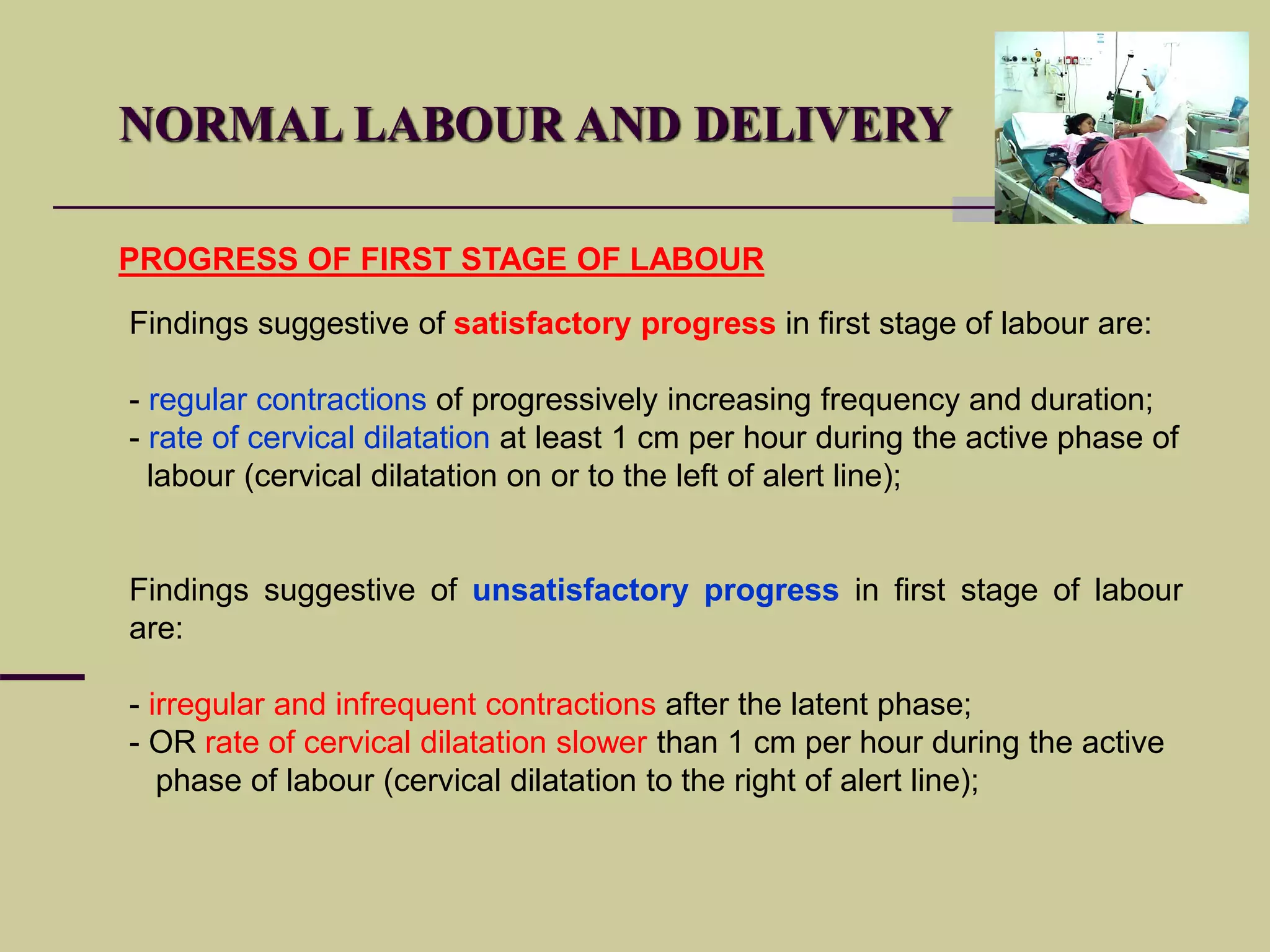 Normal labour and delivery | PPSX | Pregnancy | Reproductive Health