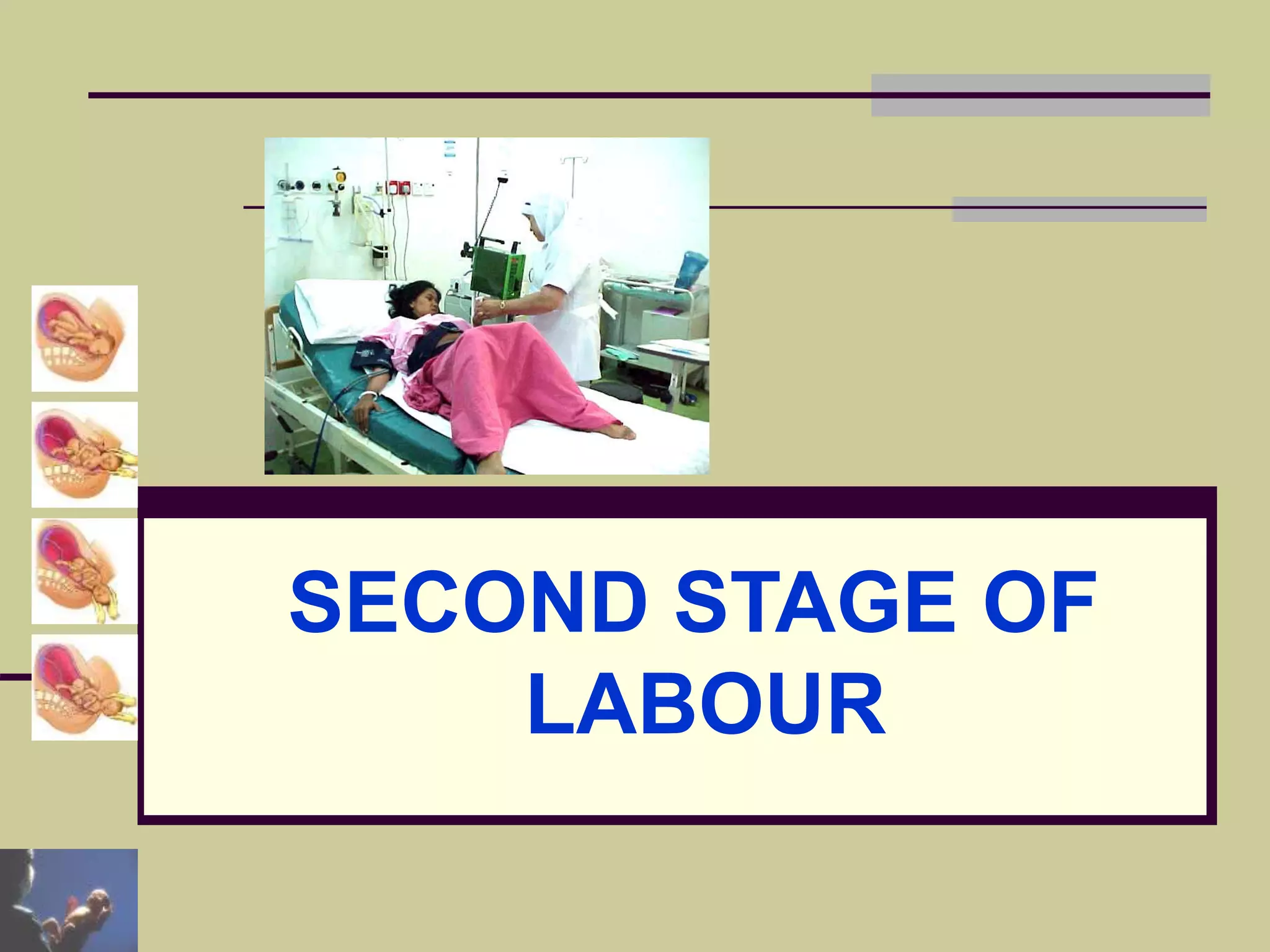Normal labour and delivery | PPSX