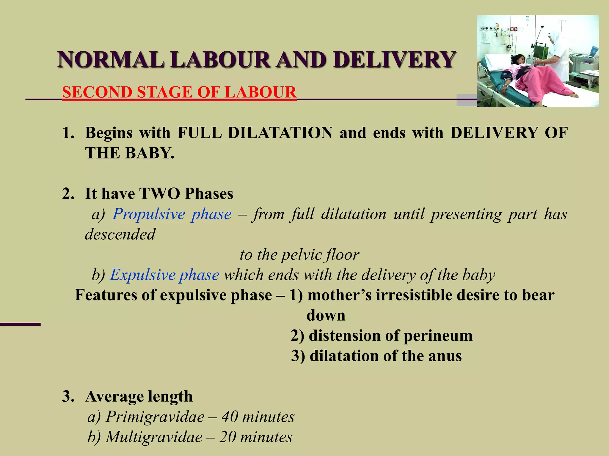 Normal labour and delivery | PPSX