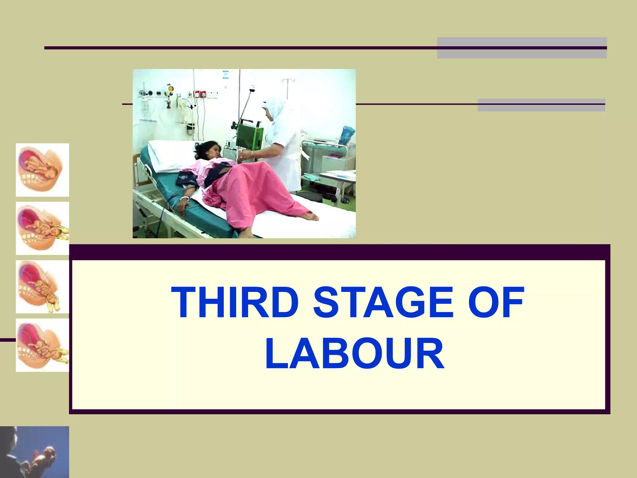 Normal labour and delivery | PPSX