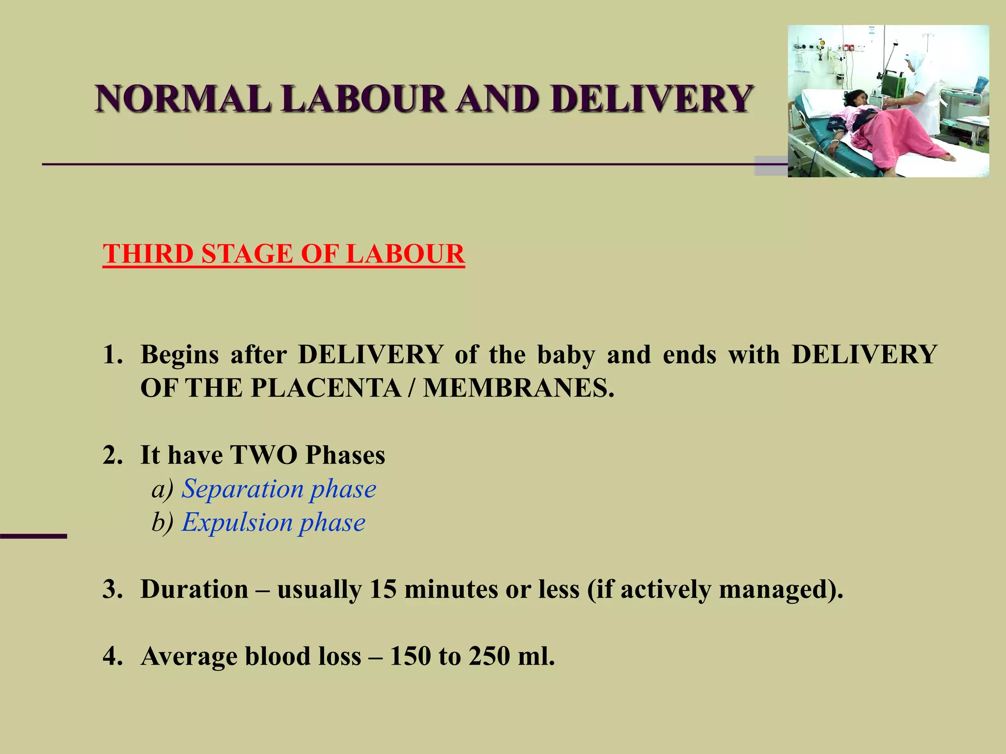 Normal labour and delivery | PPSX