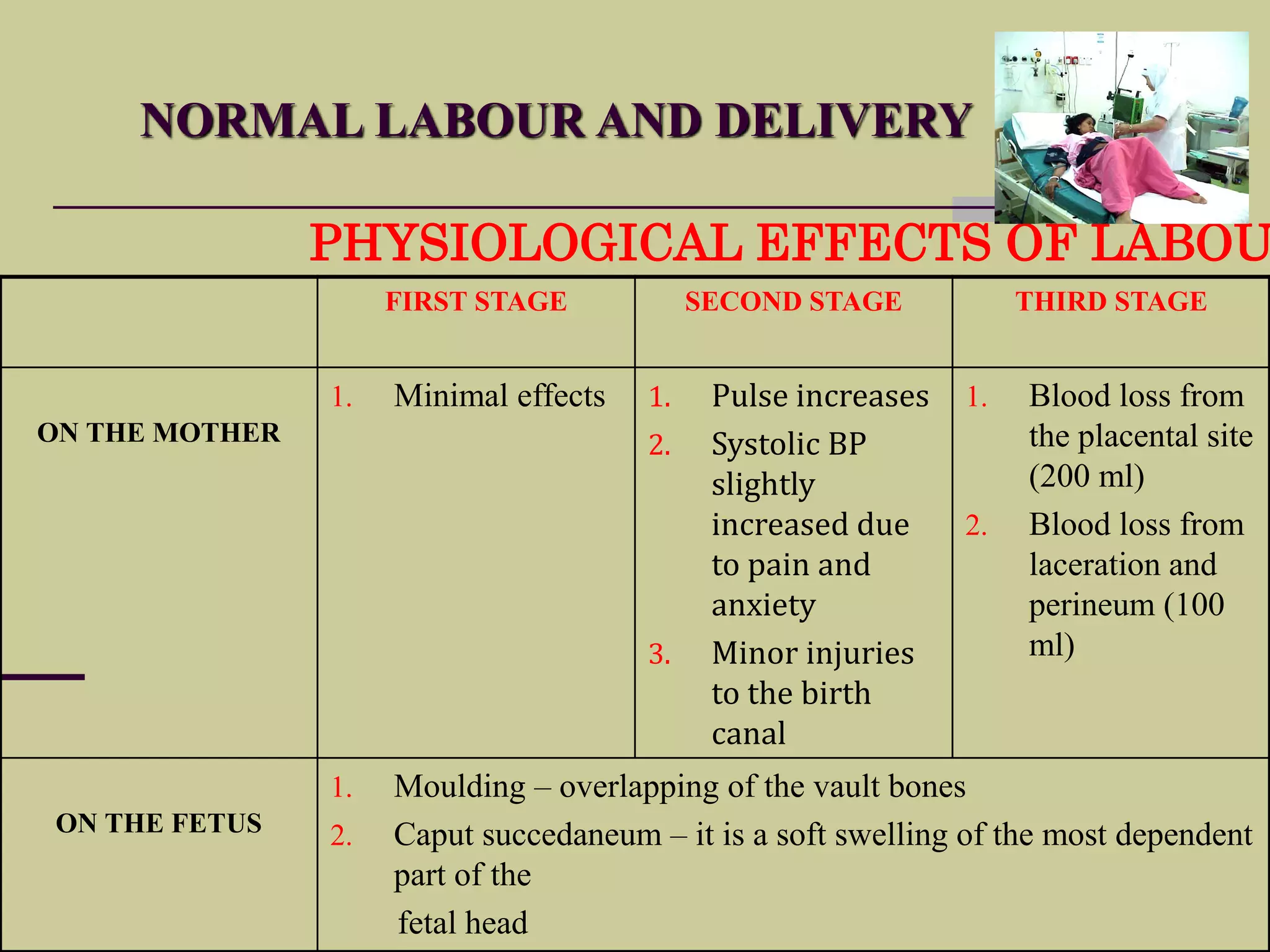 Normal labour and delivery | PPSX