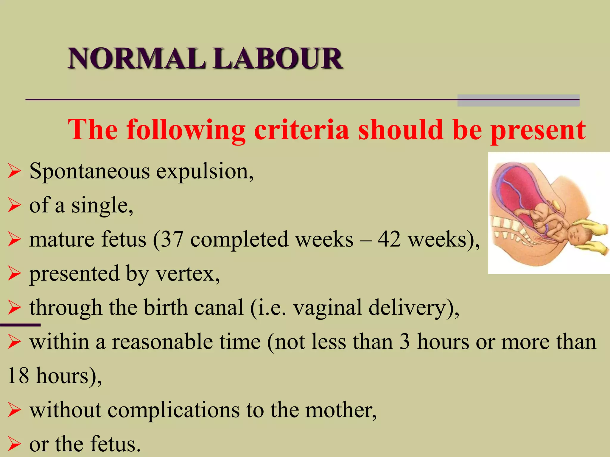 Normal labour and delivery | PPSX | Pregnancy | Reproductive Health