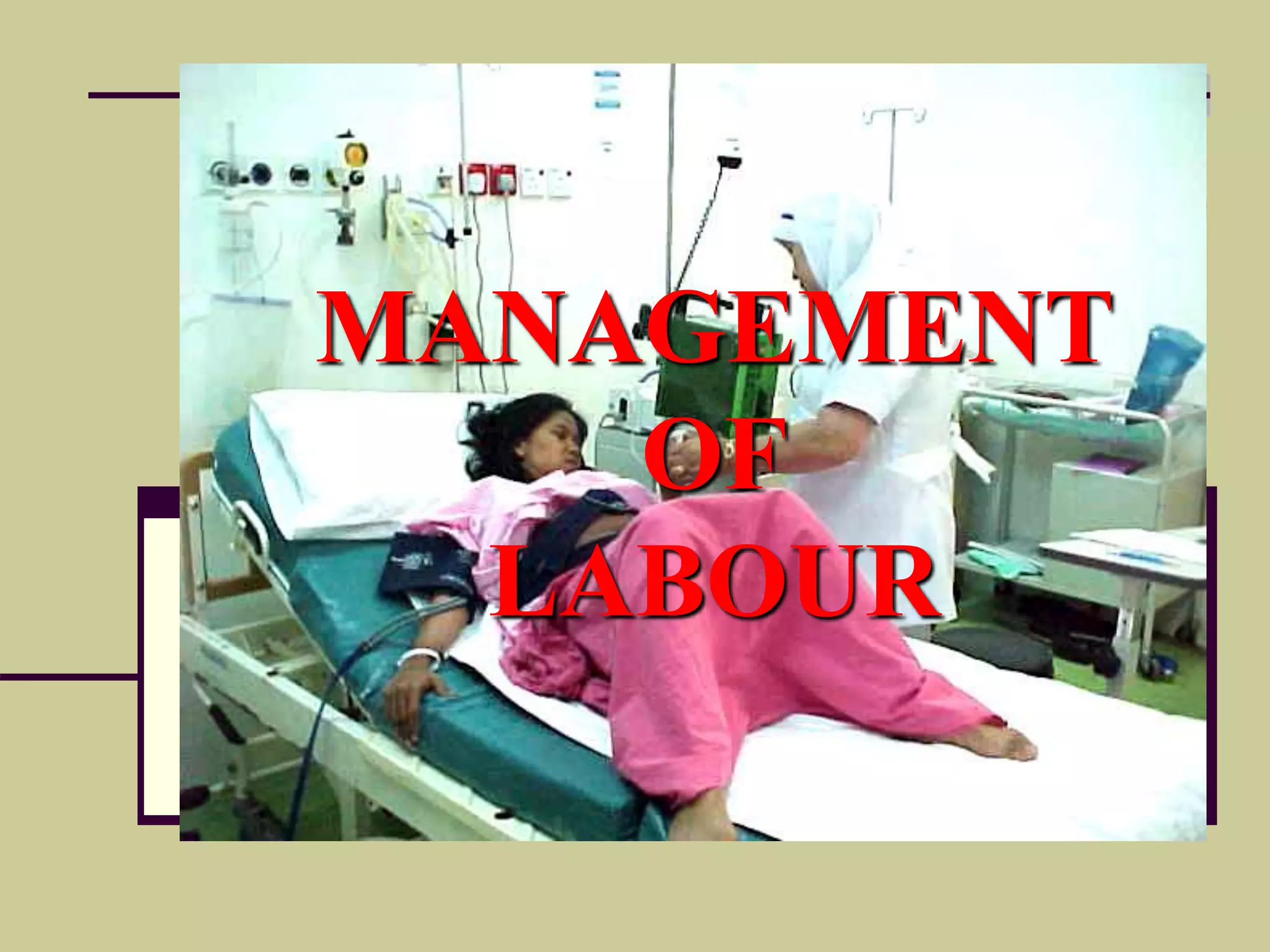 Normal labour and delivery | PPSX