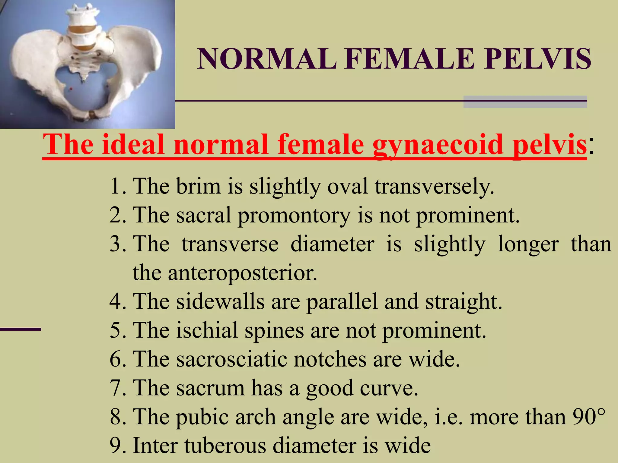 Normal labour and delivery | PPSX