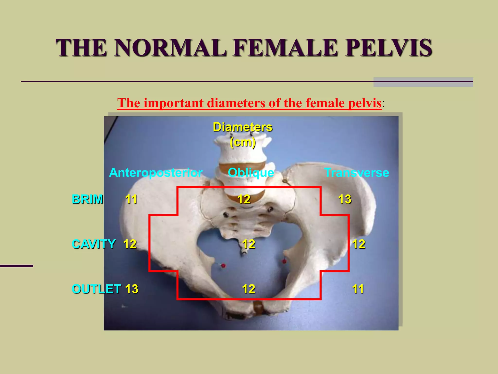 Normal labour and delivery | PPSX