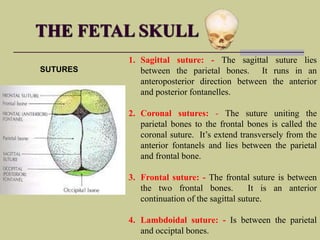 Normal labour and delivery | PPSX
