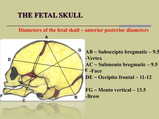 Normal labour and delivery | PPSX