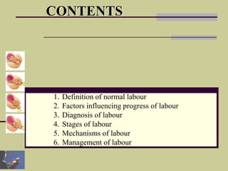 Normal labour and delivery | PPSX
