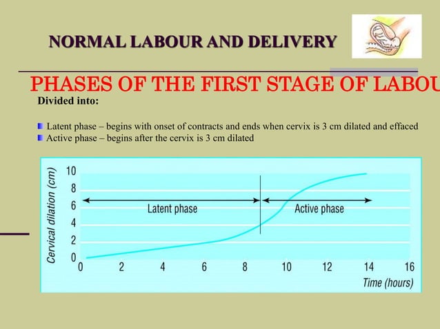 Normal labour and delivery | PPSX | Pregnancy | Reproductive Health