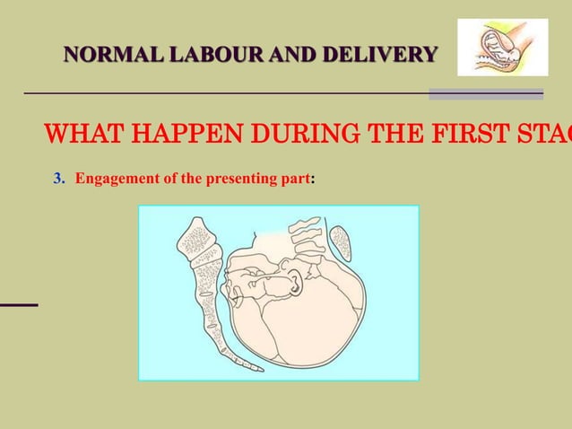 Normal labour and delivery | PPSX | Pregnancy | Reproductive Health
