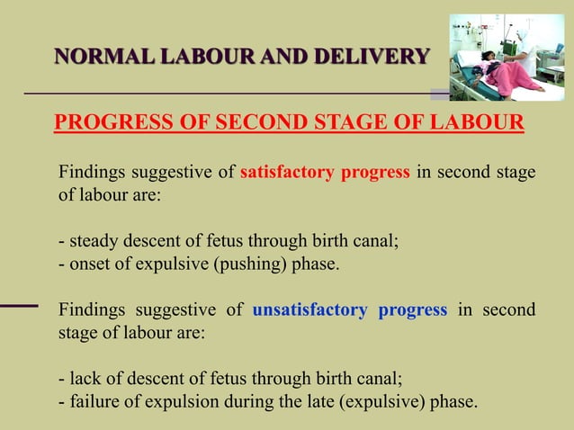 Normal labour and delivery | PPSX | Pregnancy | Reproductive Health