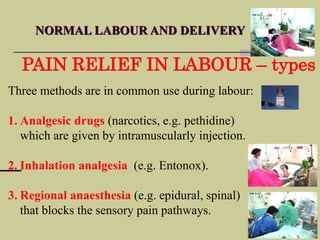 Normal labour and delivery | PPSX