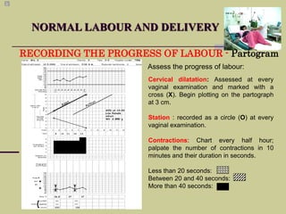 Normal labour and delivery | PPSX
