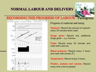 Normal labour and delivery | PPSX