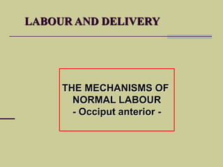 Normal labour and delivery | PPSX