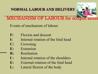 Normal labour and delivery | PPSX
